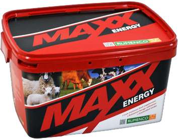 Animaxx-Premium - Home - Nyalótömbök és alomporok